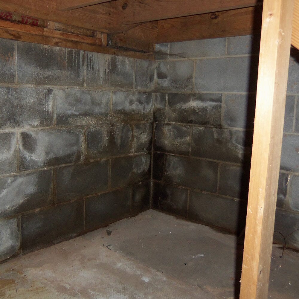 The Best Diy Basement Waterproofing Solution